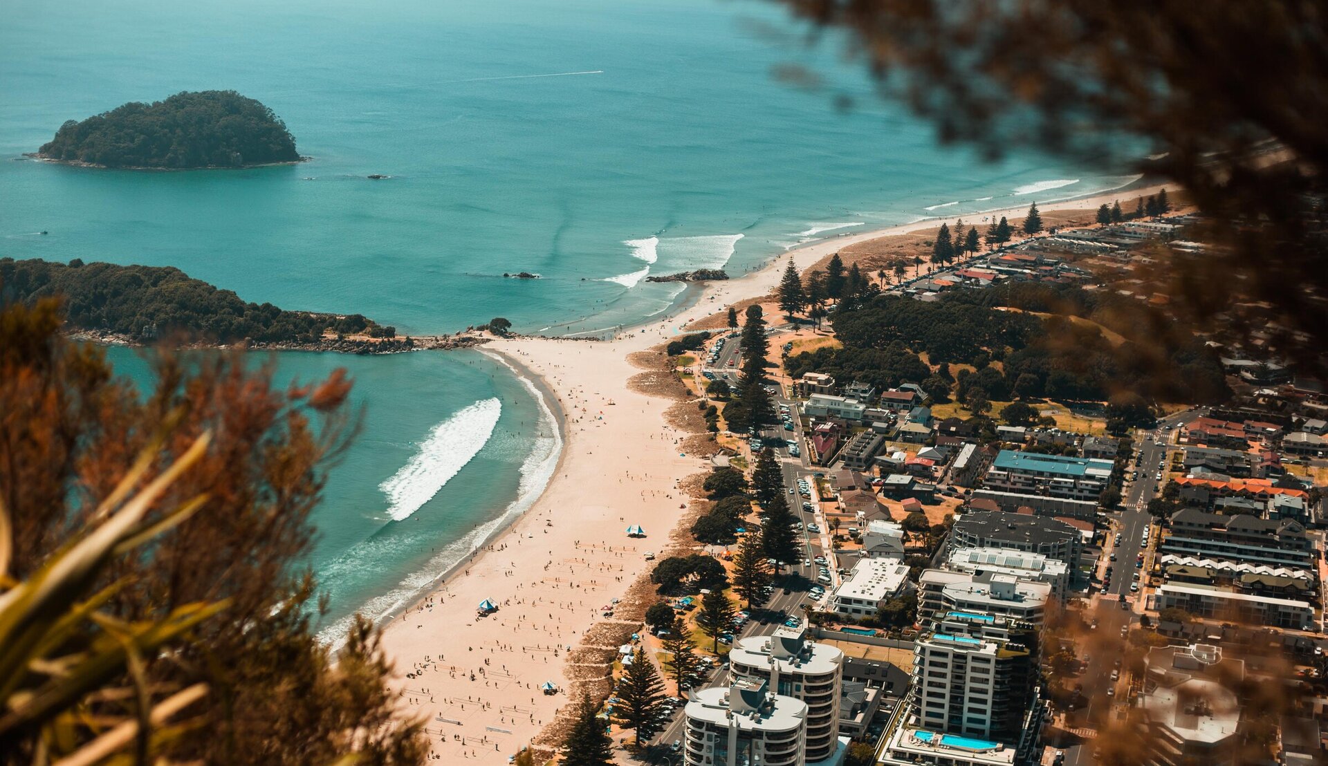 Roadcat Shuttles | Hamilton Airport Shuttles | Auckland to Hamilton ...